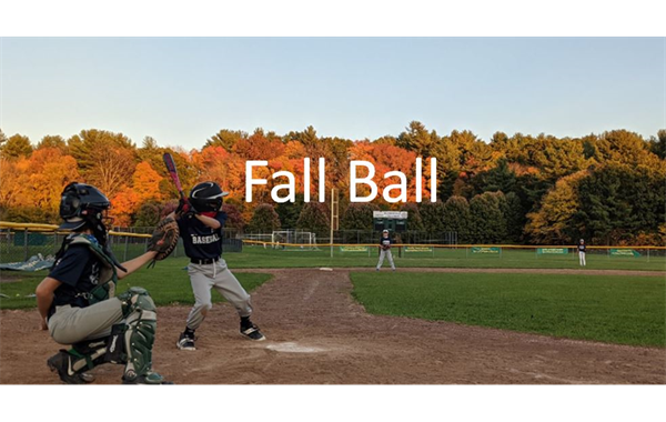 Home [www.salemll.info]